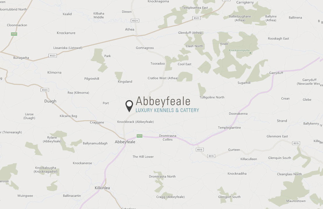 Abbeyfeale Luxury Kennels and Cattery Home
